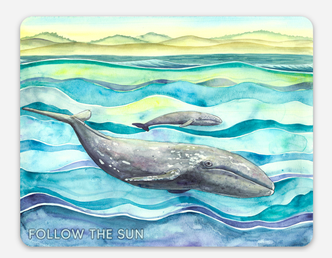 Gray Whales Sticker – Follow the Sun